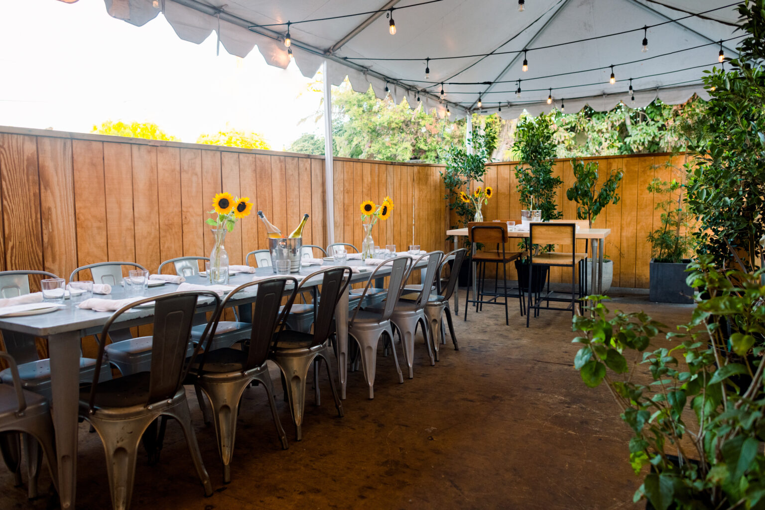 Events & Catering - Milo and Olive